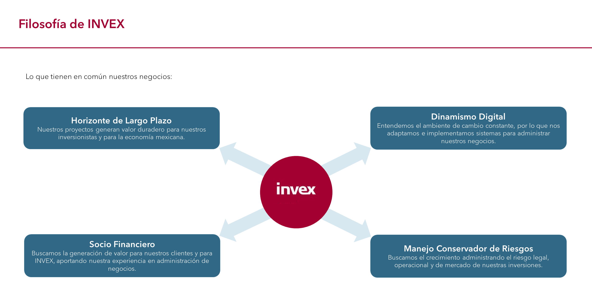 Nuestros negocios - INVEX