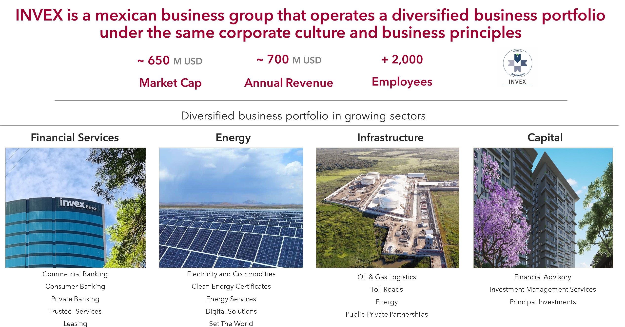 Nuestros negocios | INVEX Controladora